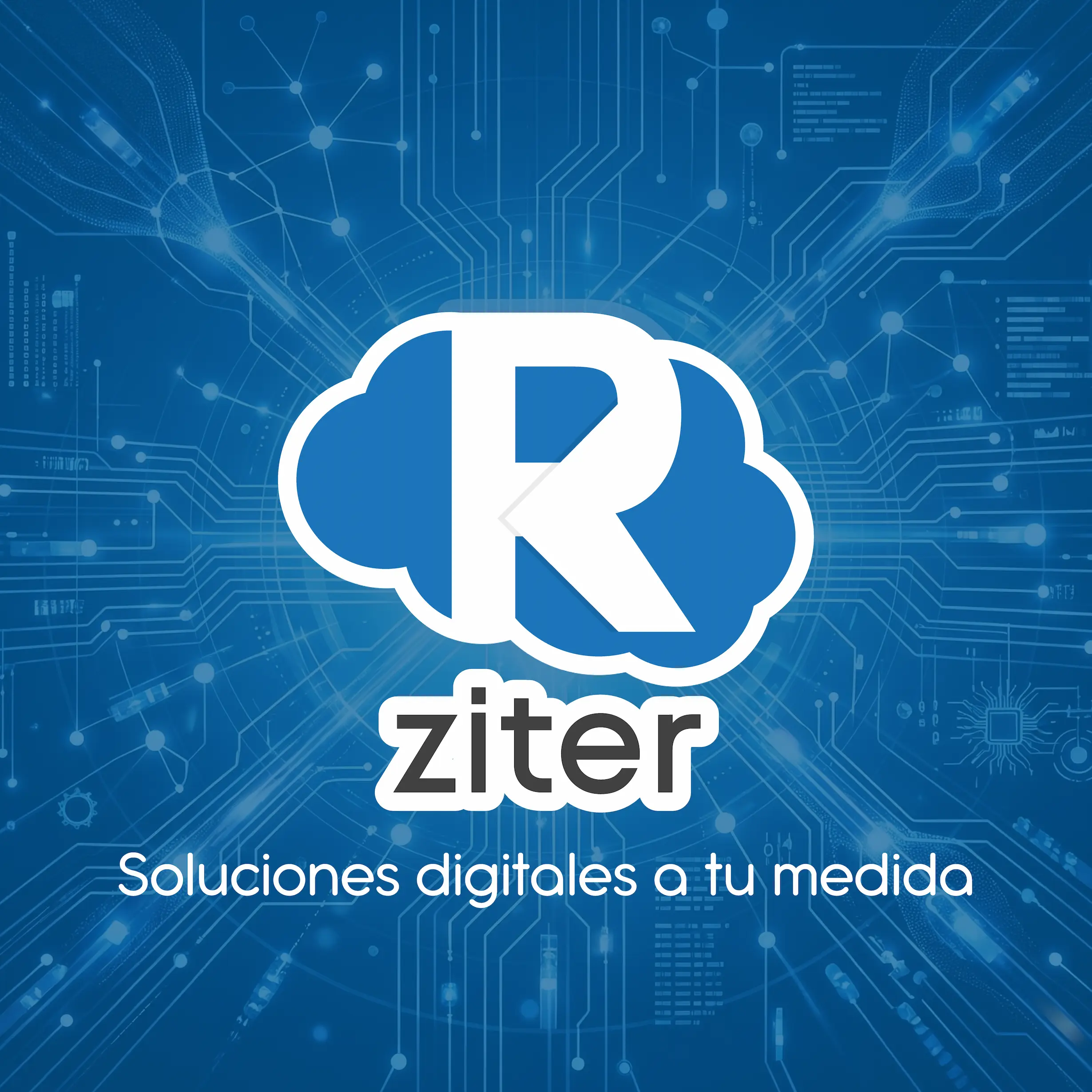 Ziter | Soluciones Digitales